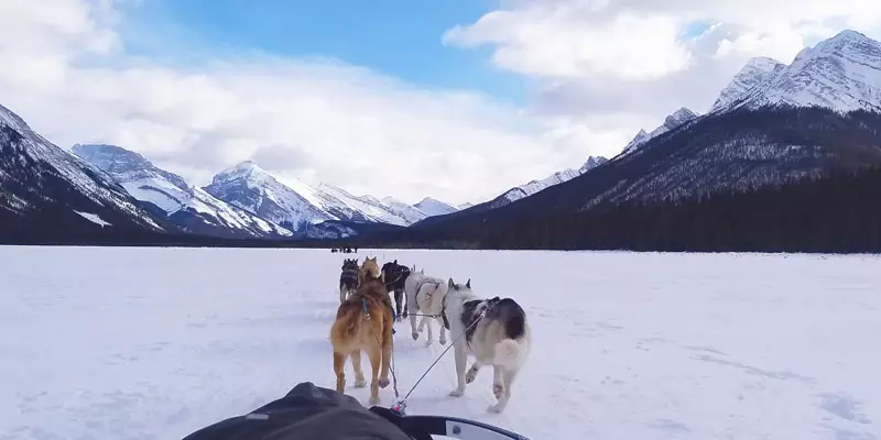 3 aventoeren dy't jo yn 'e winter moatte belibje yn Alberta