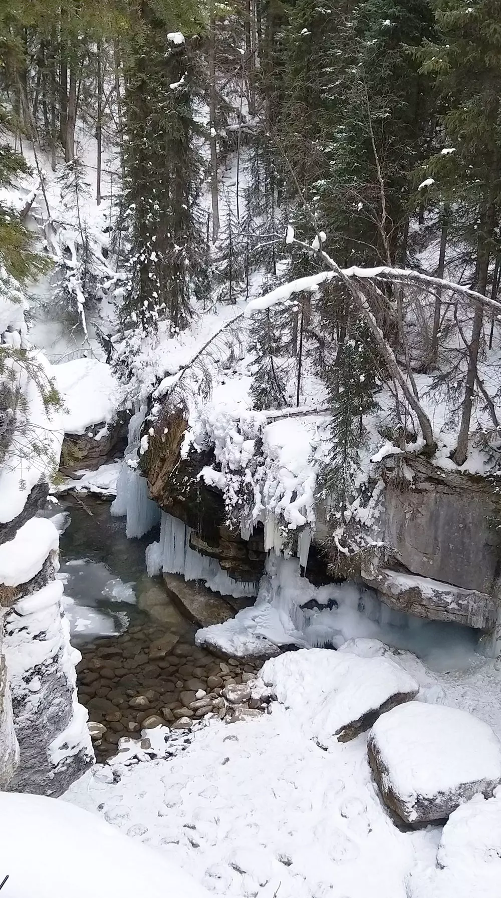 jasper river snow alberta winter