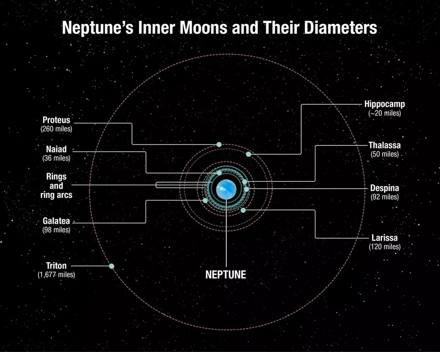 Neptun Hippocampus