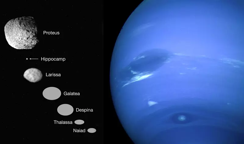 Neptune Hippocampus