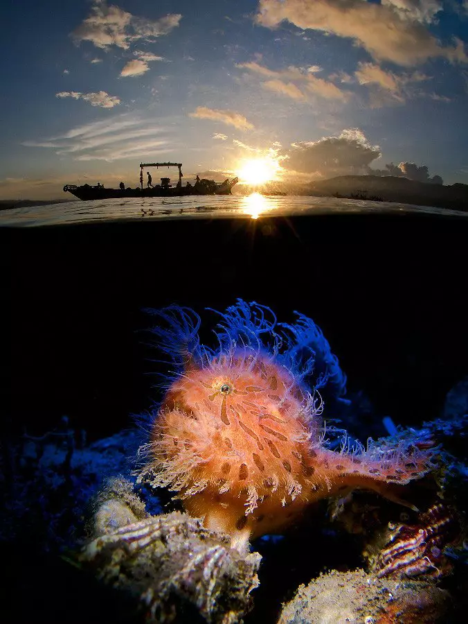 photographie sous la mer