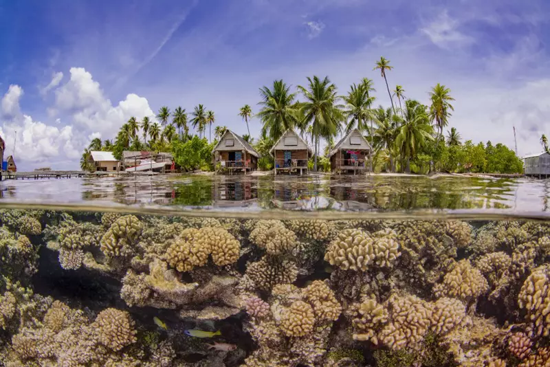 fotografie onder die see