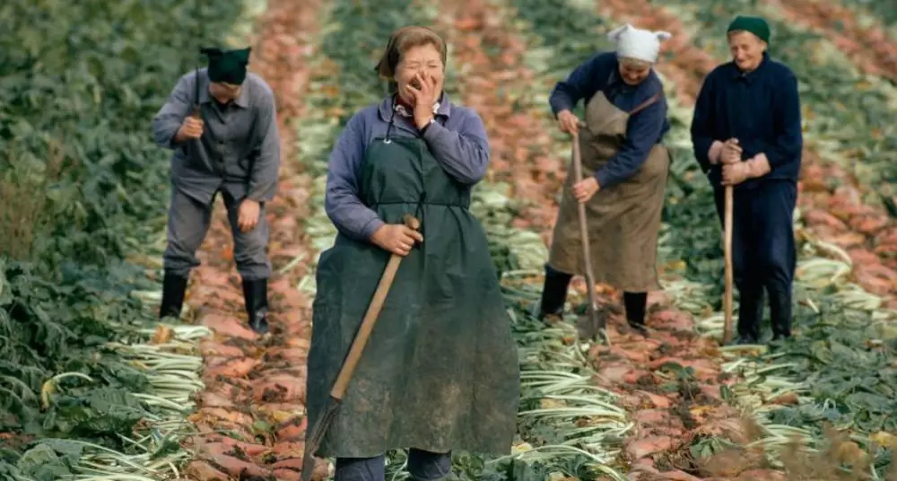 Automne : le temps des vendanges