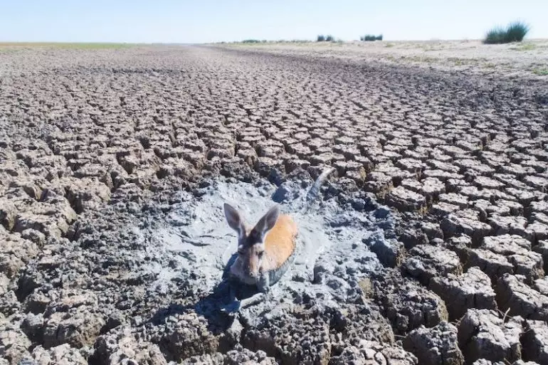 Klimawandel Wasserkrise