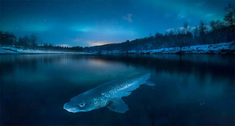 Ғолибони озмуни аксҳои Por el Planeta