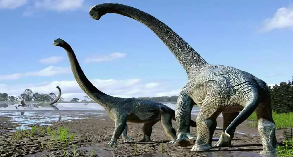 Dinozawrlar Awstraliýa barmak üçin Antarktidadan geçdiler