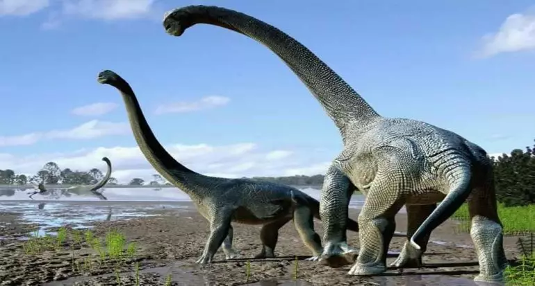 Ama-Dinosaurs awela i-Antarctica ukuze afike e-Australia