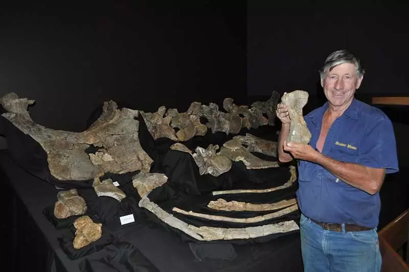 Ama-Dinosaurs awela i-Antarctica ukuze afike e-Australia 872_3