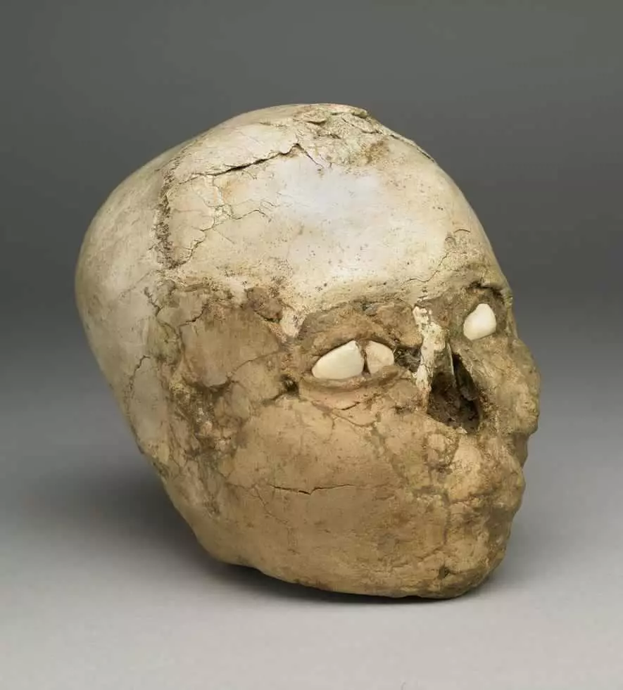 They recreate the face of a 9,500-year-old man 883_4