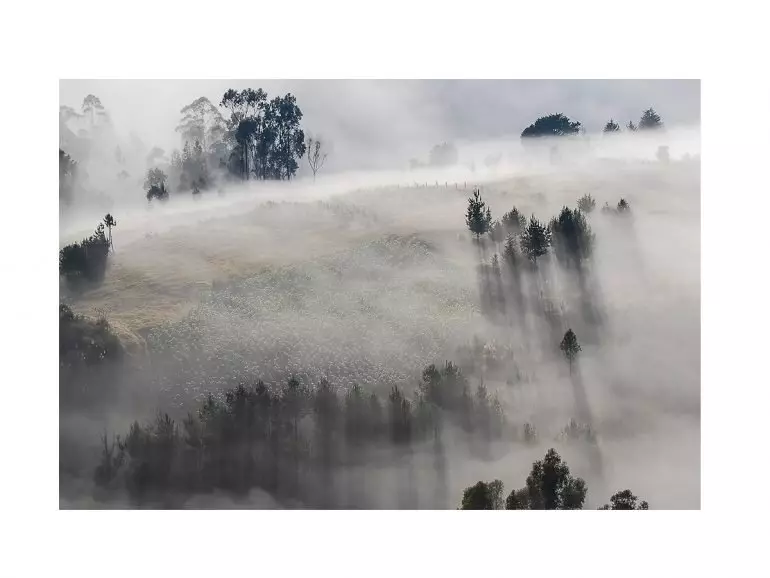 Okuyucu Fotoğrafı - 9 Mayıs