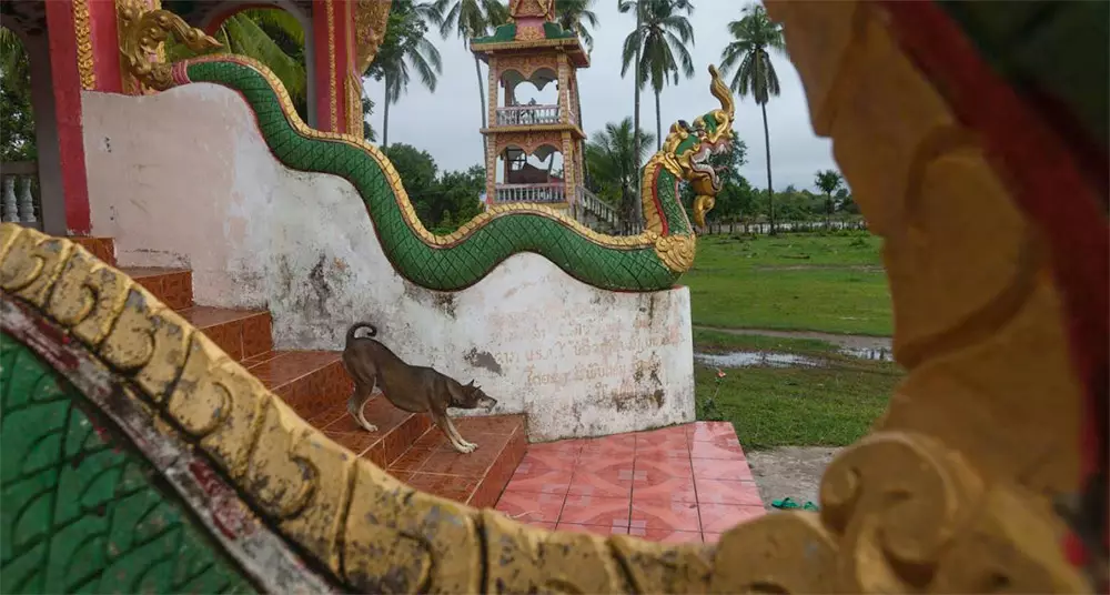 Dvanajst fotografij reke Mekong 903_13