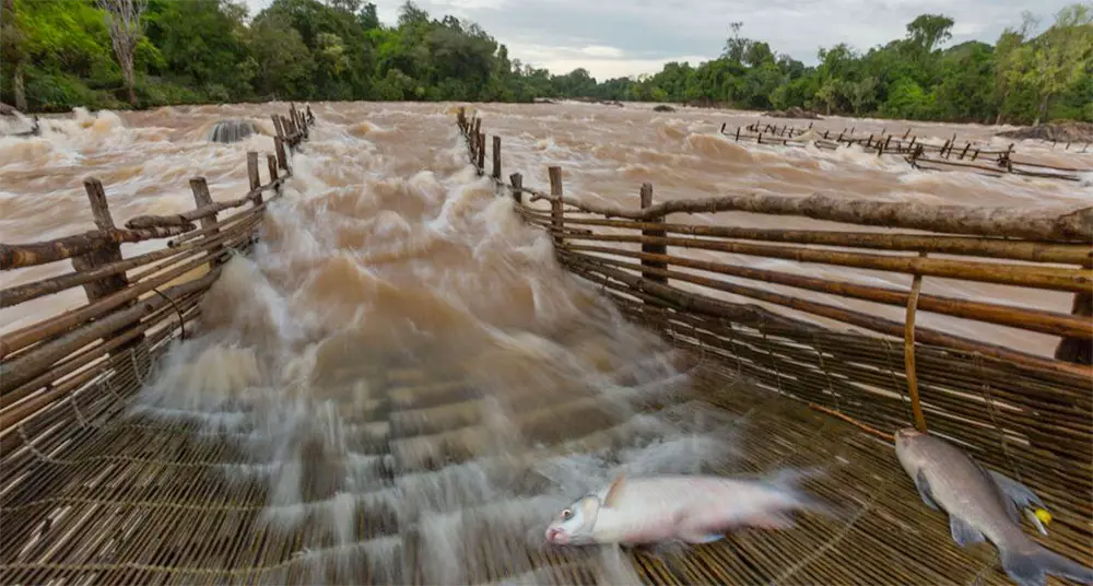 Dua belas gambar Sungai Mekong 903_5