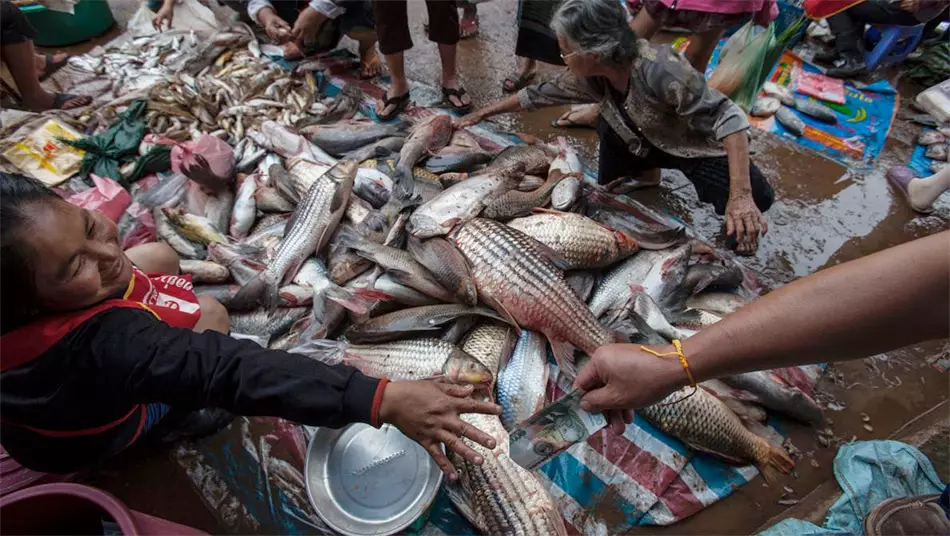 Dua belas gambar Sungai Mekong 903_8