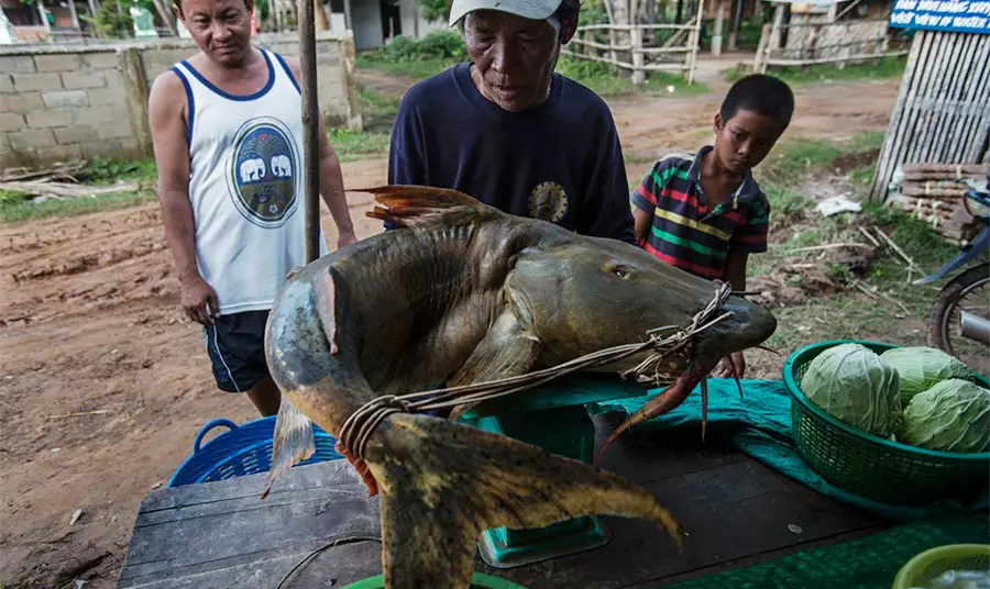 Dvanajst fotografij reke Mekong 903_9