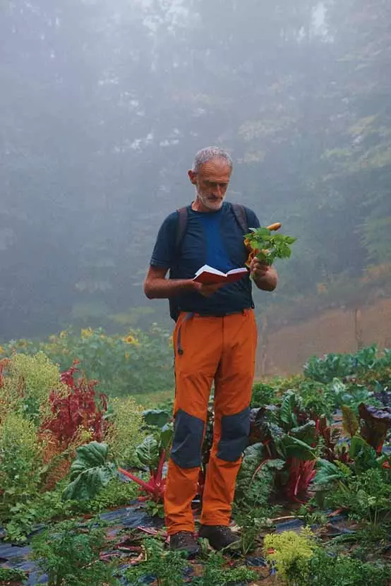 Een biologisch restaurant in de natuur in Slovenië 9402_3