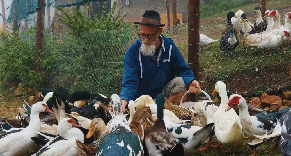 Een biologisch restaurant in de natuur in Slovenië 9402_4