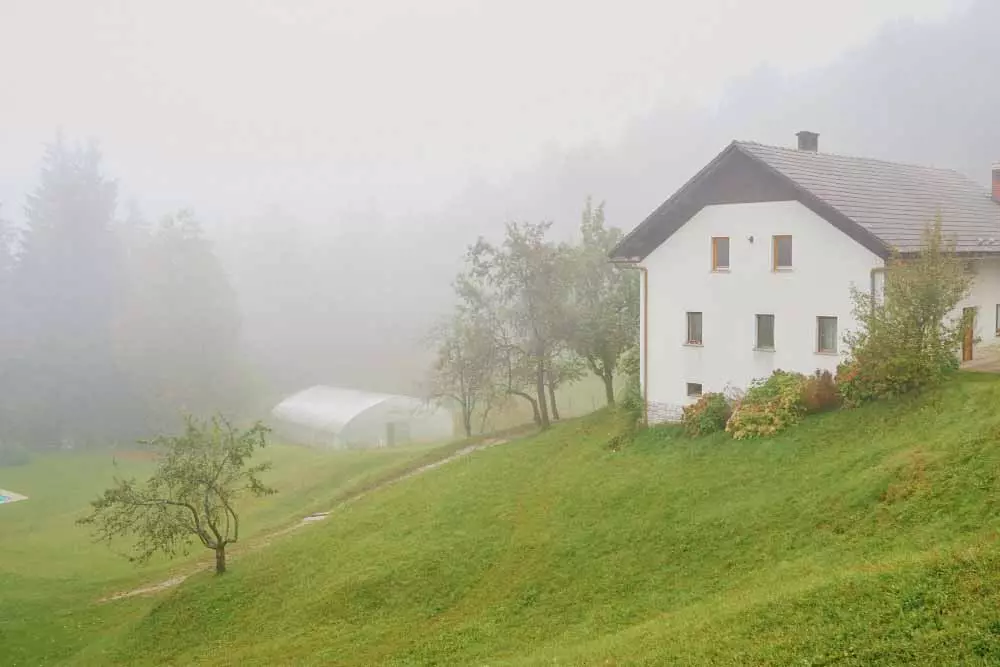 Een biologisch restaurant in de natuur in Slovenië 9402_6