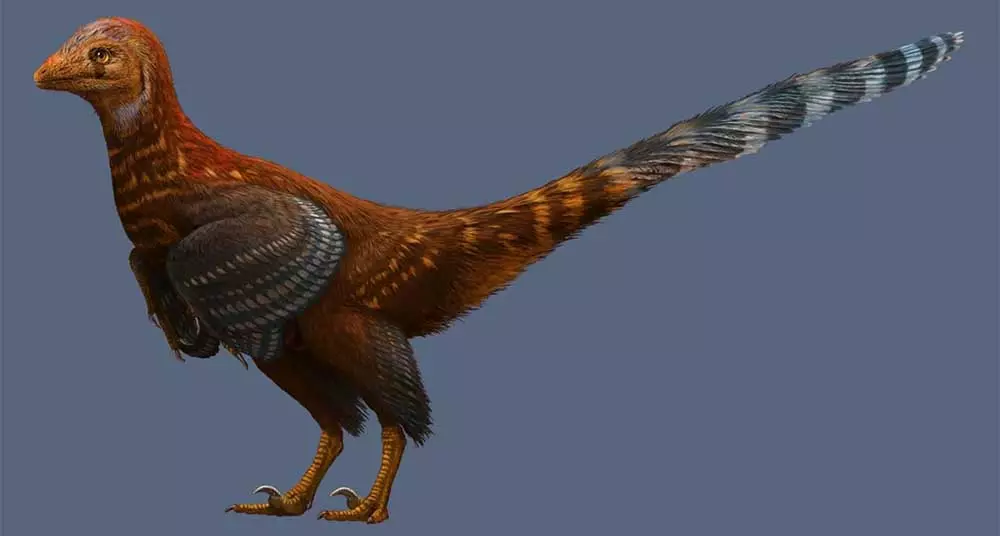 Spésiés anyar dinosaurus miboga bulu kawas manuk modern