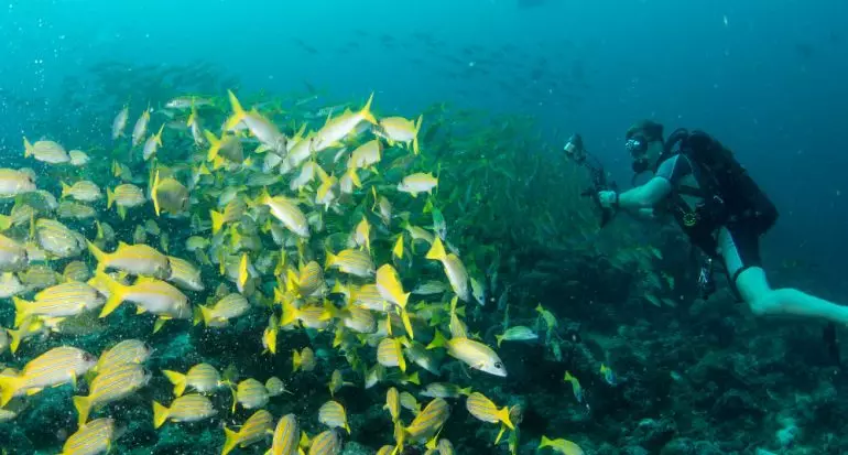 Comment prendre des photos sous l'eau