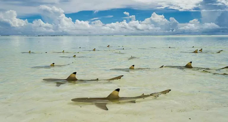 Kembalinya Seychelles