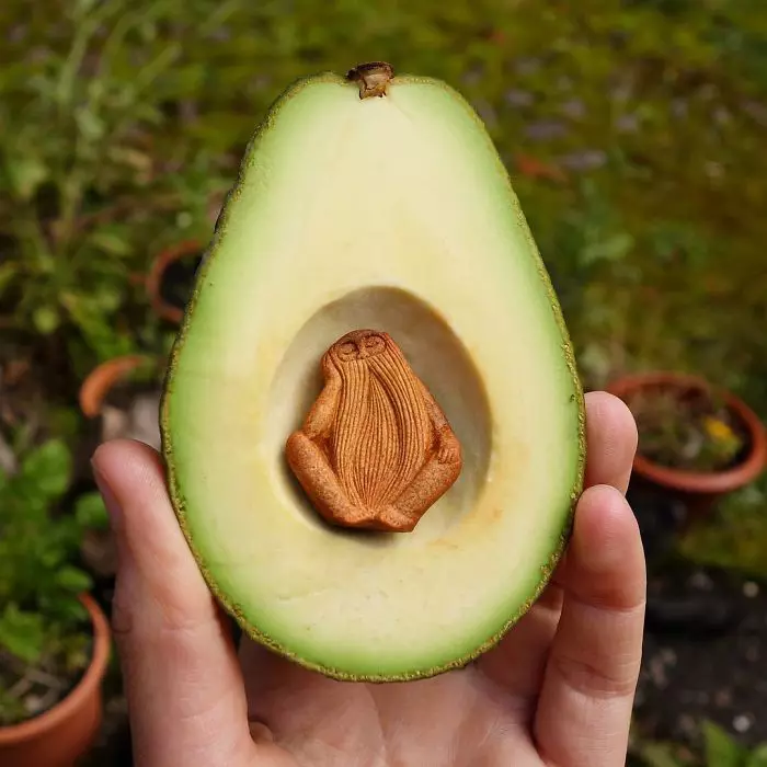 Prachtige keunstwurken makke mei it sied fan 'e avokado 9496_3