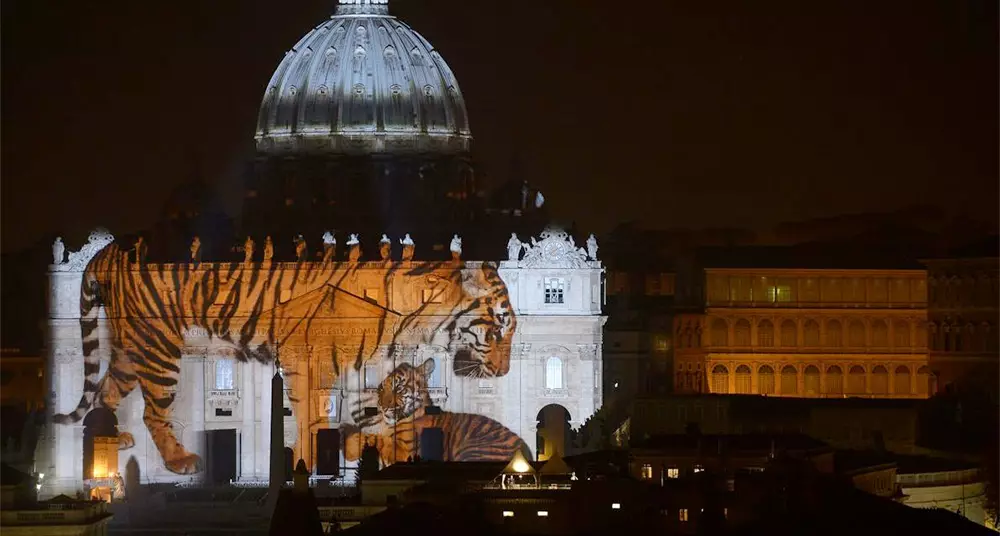 Fotos de animais proxectadas no Vaticano 959_13