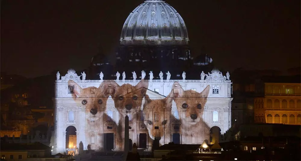 Fotos de animais proxectadas no Vaticano 959_15