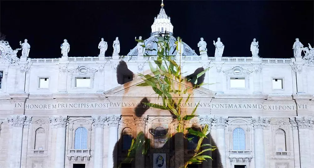 Fotografii cu animale proiectate în Vatican 959_2