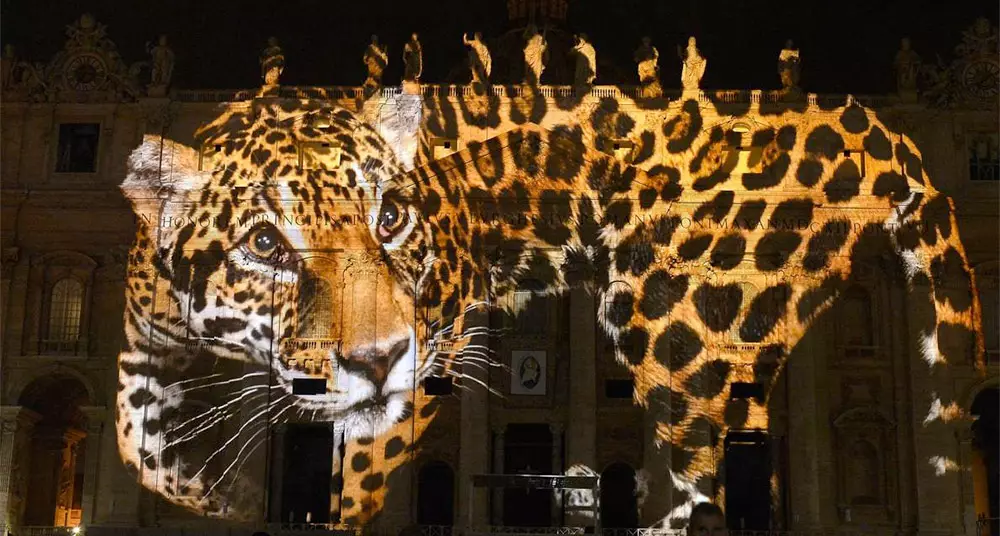 Fotos de animais proxectadas no Vaticano 959_3