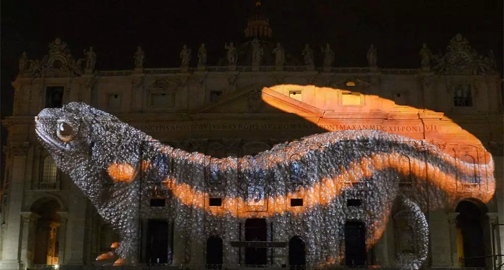 Fotos de animais proxectadas no Vaticano 959_6