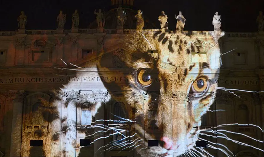 Fotos de animais proxectadas no Vaticano 959_8