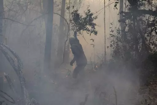 incendios amazónicos