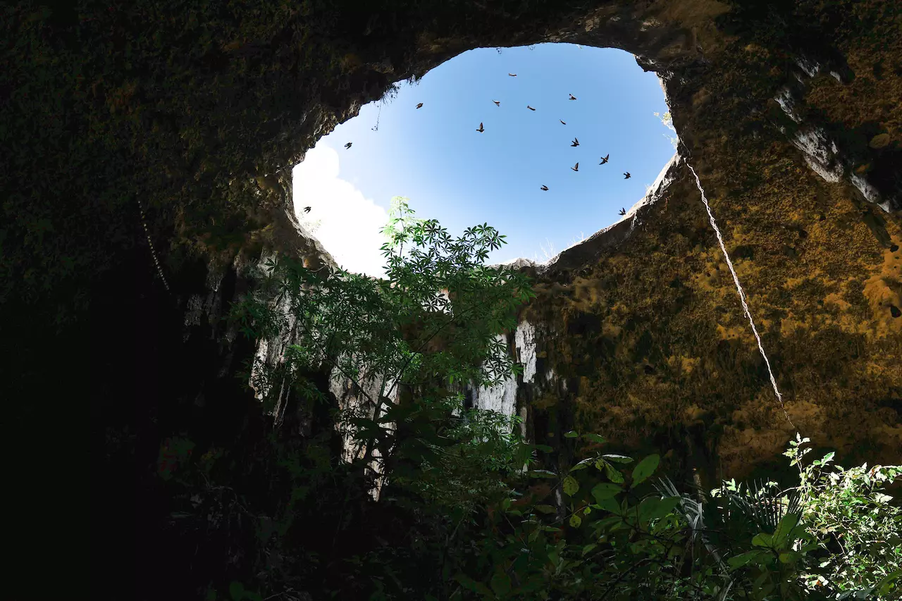 Cenote