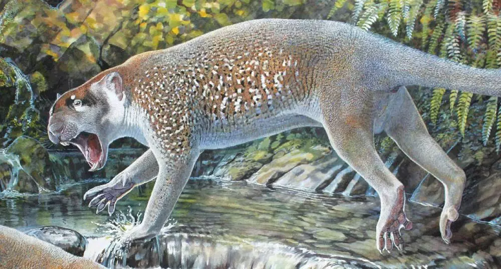 Au fost descoperite noi specii de leu marsupial